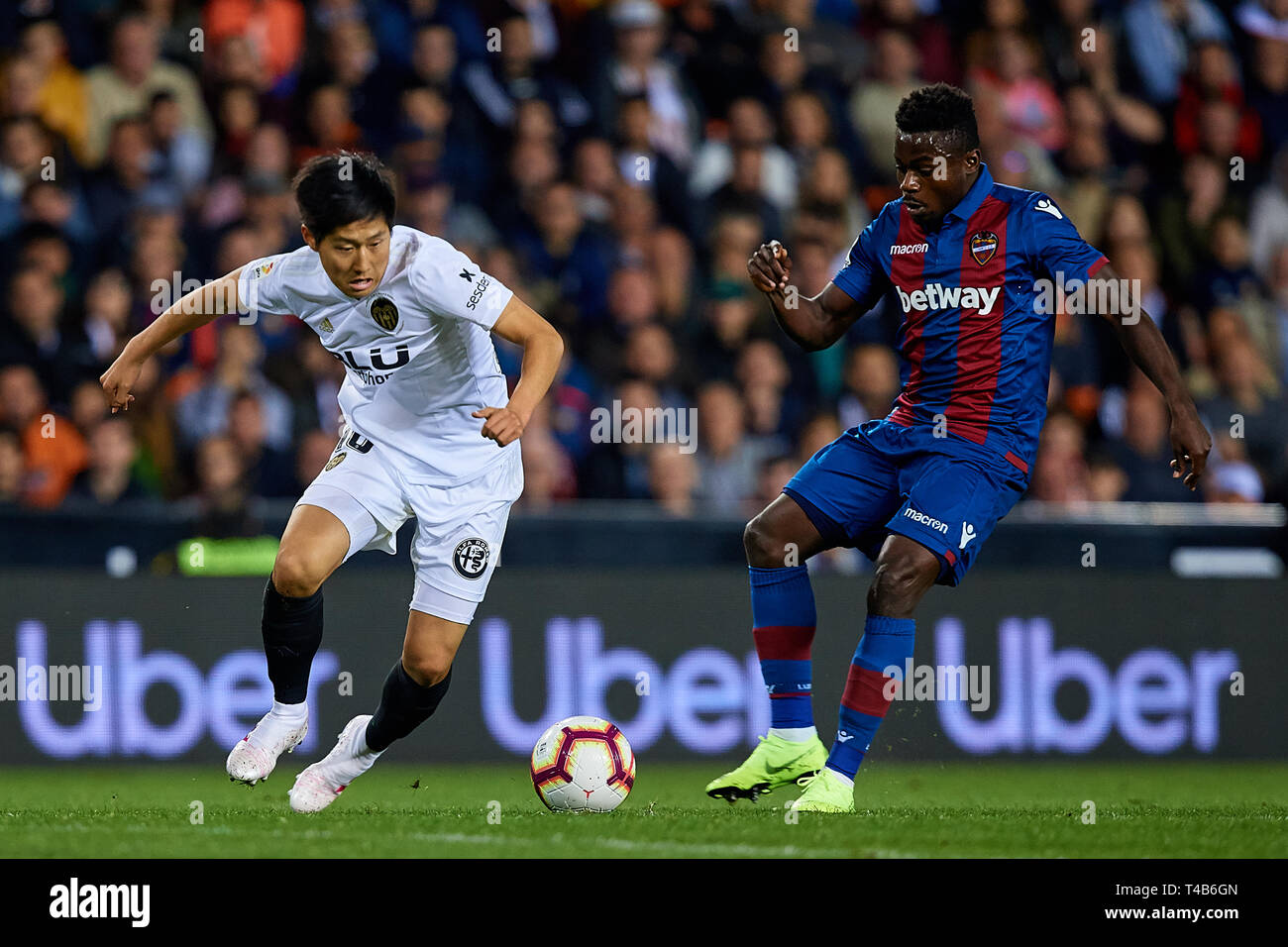 Moses lee hi-res stock photography and images - Alamy