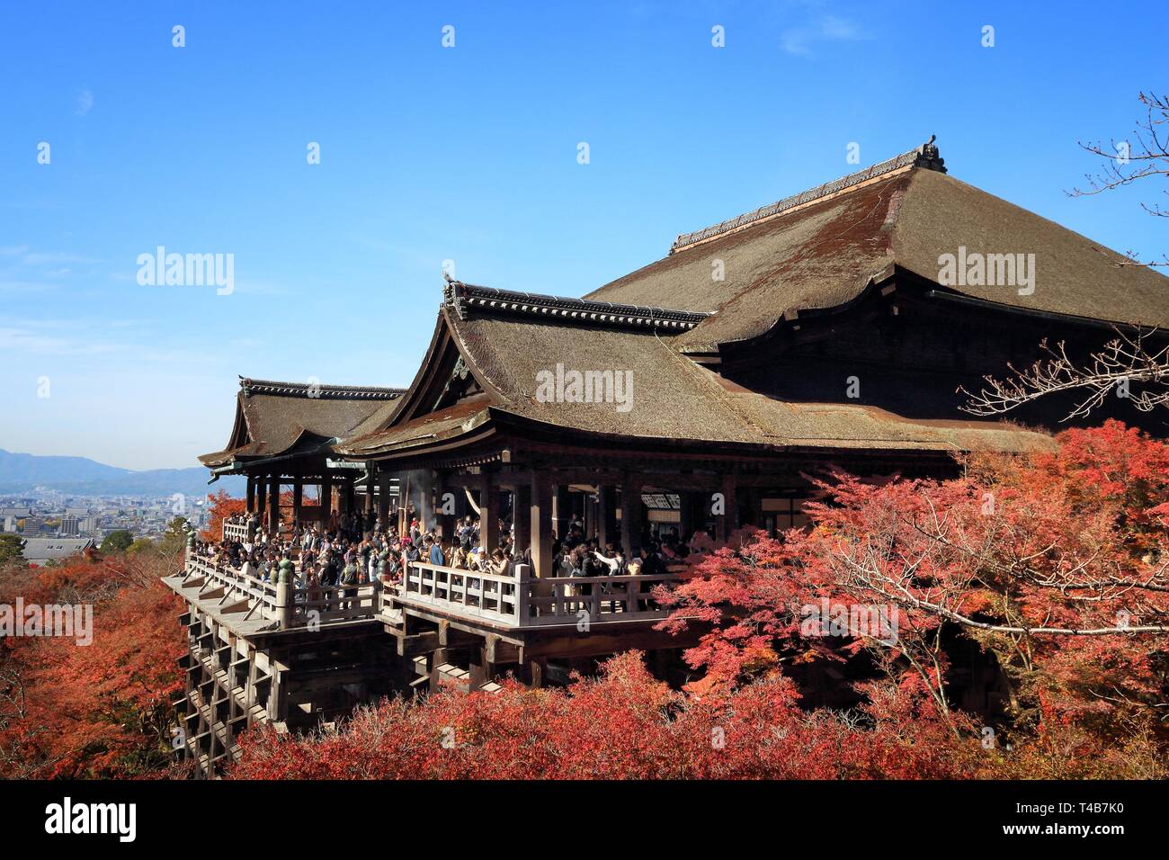 KYOTO, JAPAN - NOVEMBER 26, 2016: People visit Kiyomizu-dera Temple in ... KYOTO, JAPAN - NOVEMBER 26, 2016: People visit Kiyomizu-dera Temple in ...