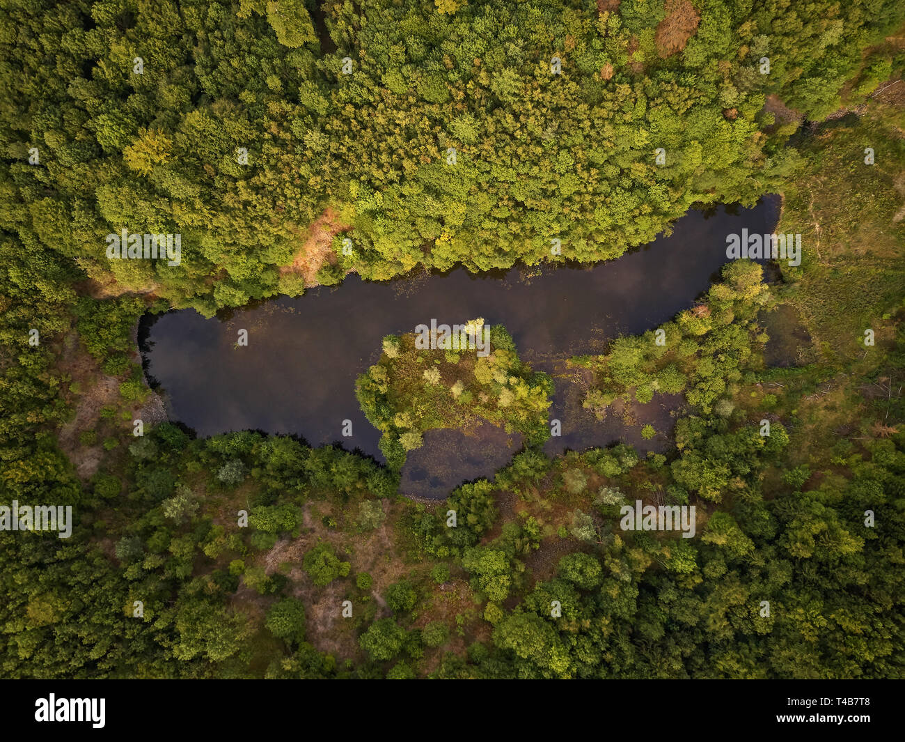 Green forest with lake as environmental protection and conservation ...