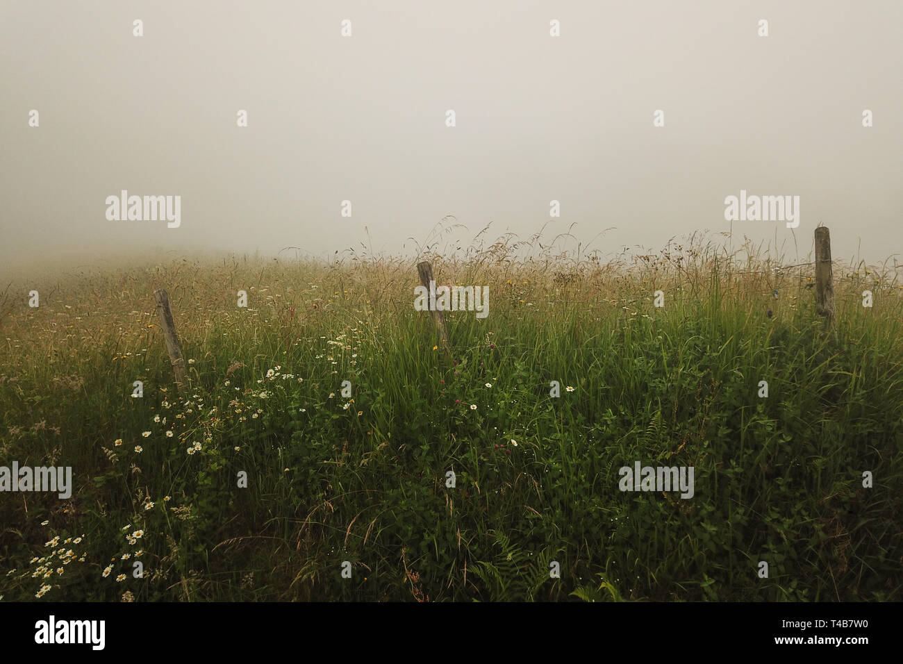 Fog border hi-res stock photography and images - Alamy