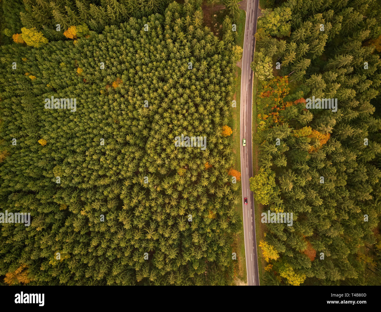 Two cars drive on a road through a forest in autumn from above Stock ...