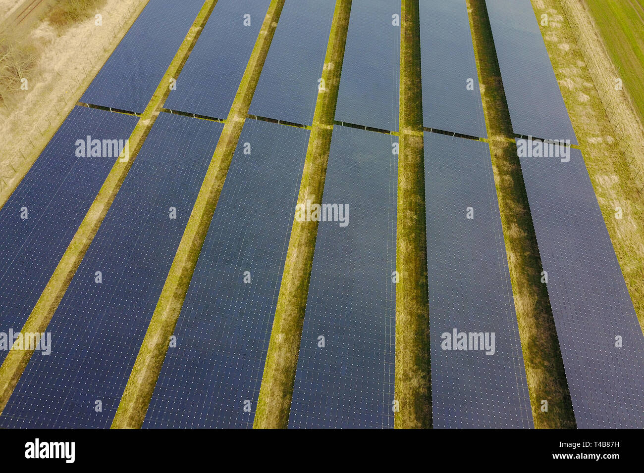 Many solar cells of a solar energy system for solar energy from above ...
