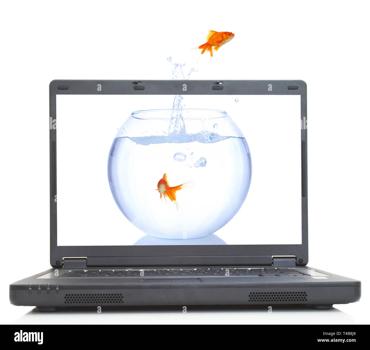 goldfish escaping from laptop on white Stock Photo - Alamy