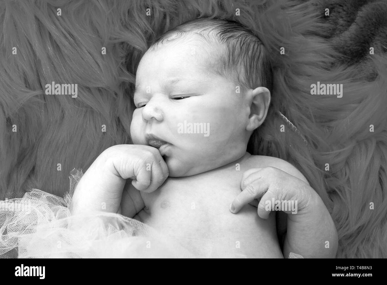 1 old bonding hi-res stock photography and images - Alamy