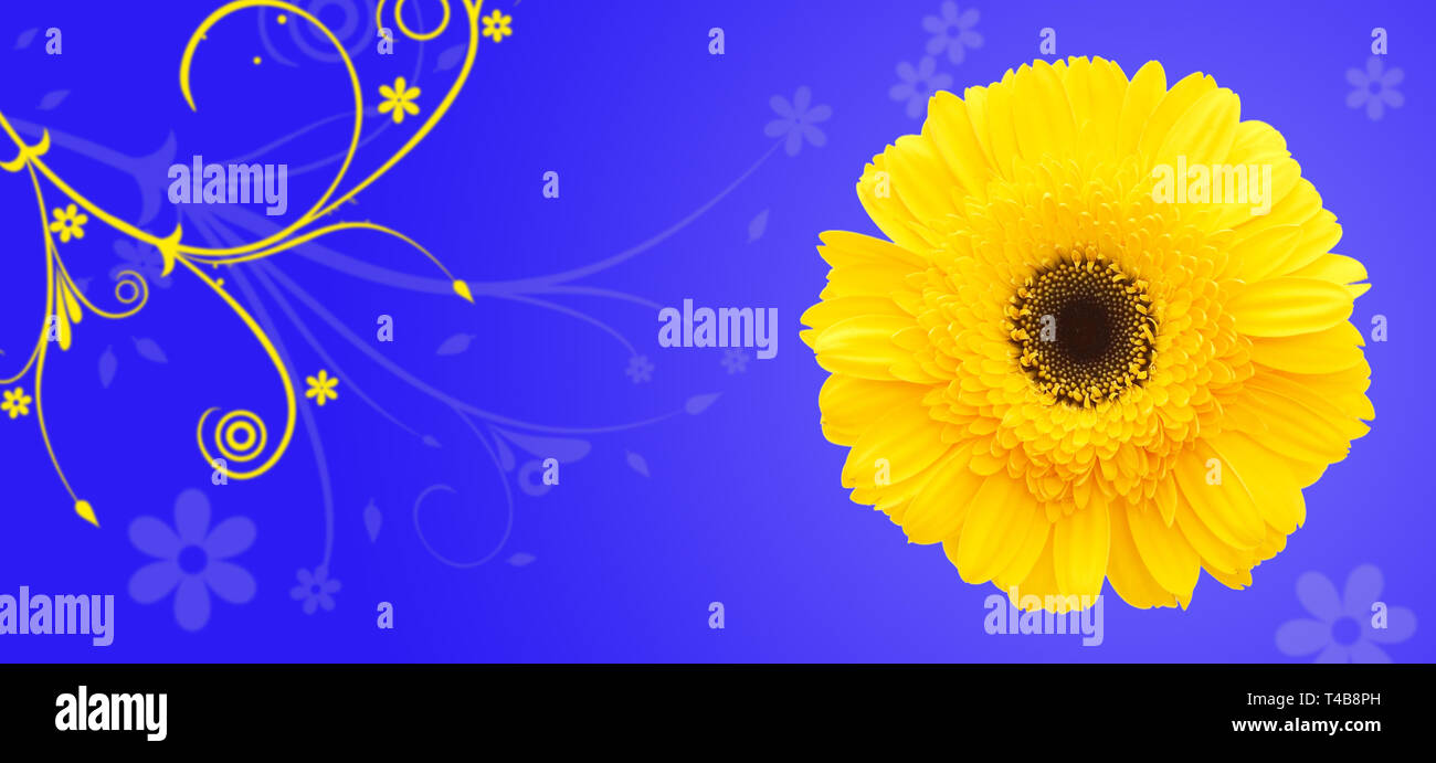 floral background design with vector ornaments for messages Stock Photo ...