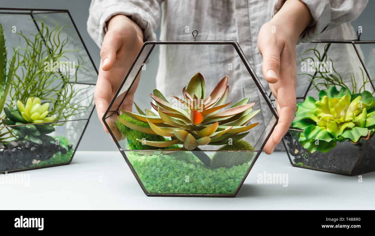 Growing florist hi-res stock photography and images - Alamy