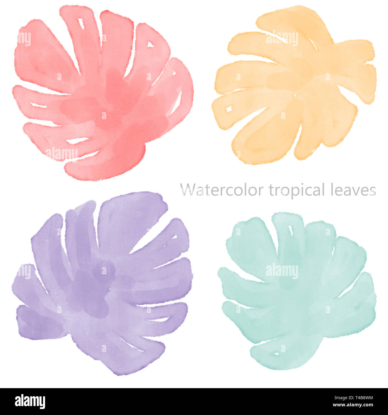 Watercolor tropical leaves hi-res stock photography and images - Alamy