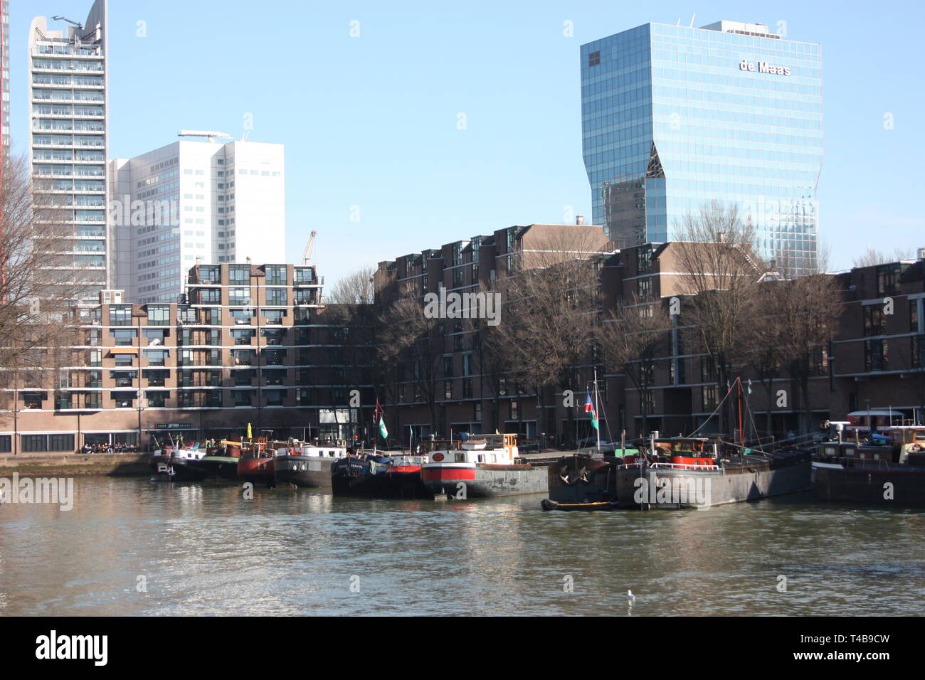 The modern and touristic port of Rotterdam on a sunny spring day. In ...