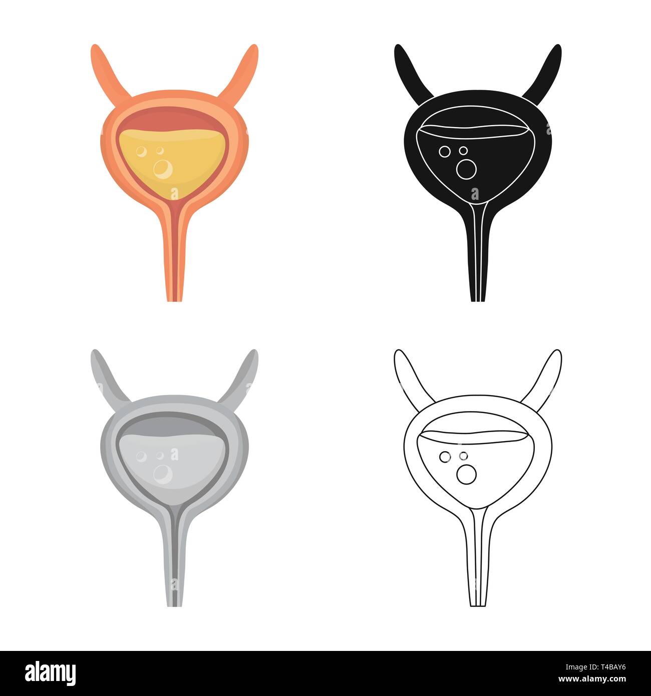 Vector illustration of incontinence and bladder sign. Collection of ...