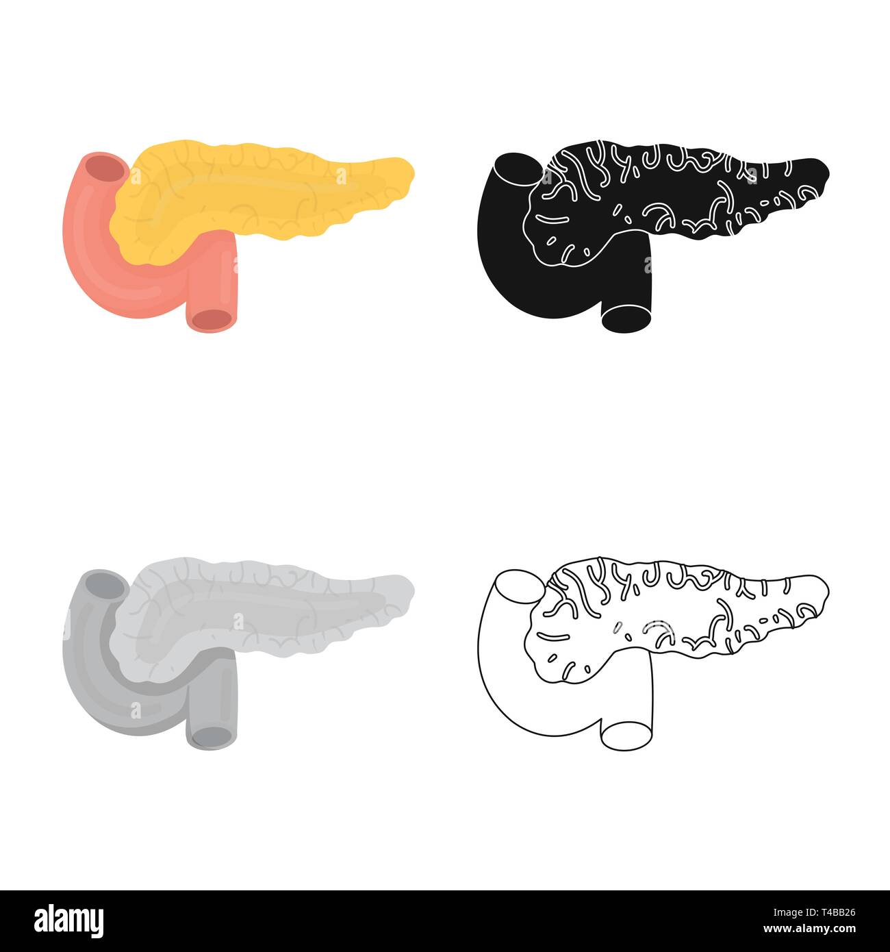 human,function,medical,endocrine,diabetes,digestion,mellitus,health ...