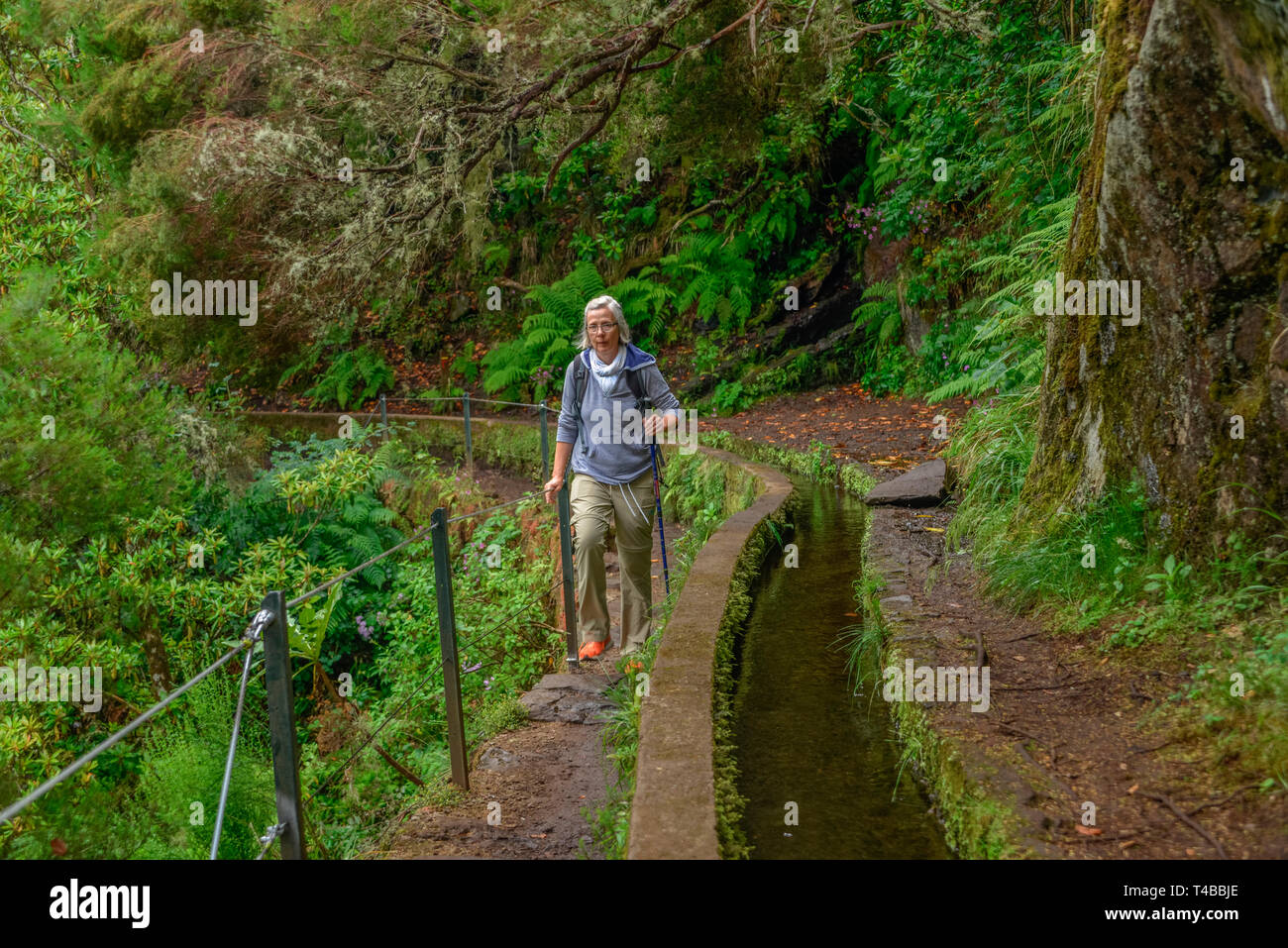 Madeira nature trails hi-res stock photography and images - Alamy