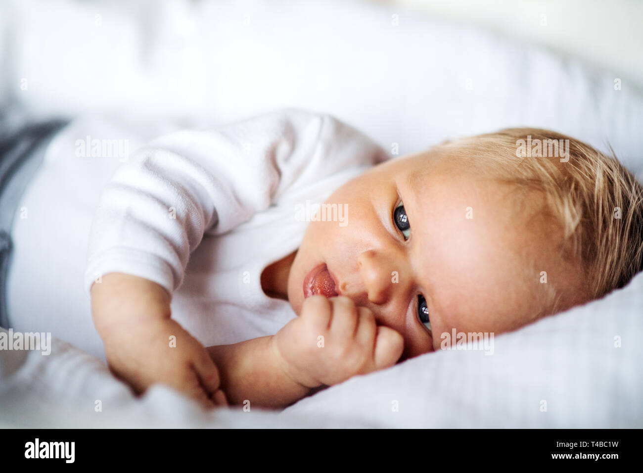 A close-up of a newborn baby at home Stock Photo - Alamy