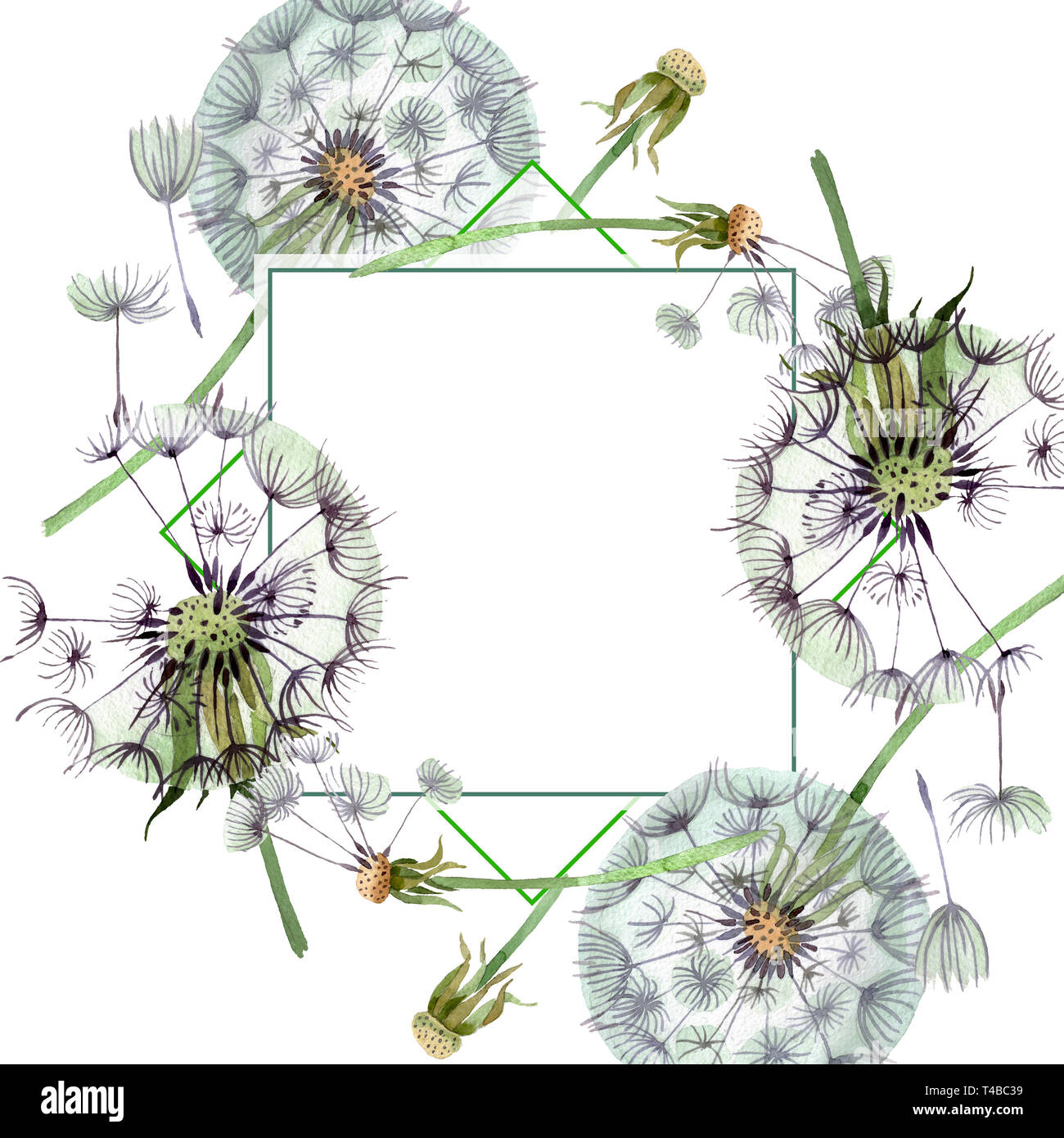 Dandelion blowball with seeds. Watercolor background illustration set ...