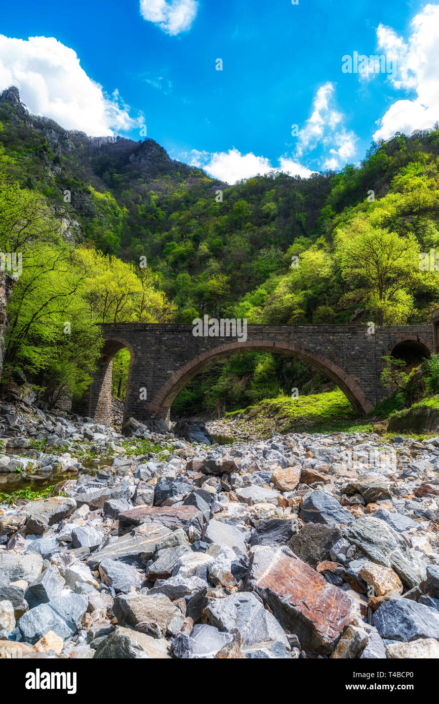 Stone bridge over small mountain river, green forest in background ...
