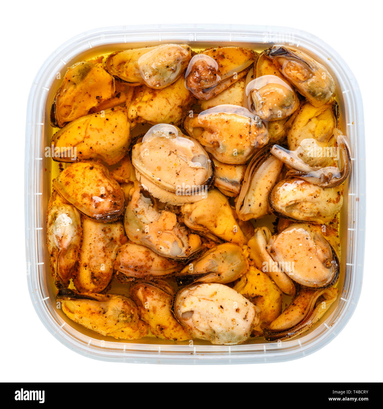 Canned mussels in oil isolated on white background. file contains ...