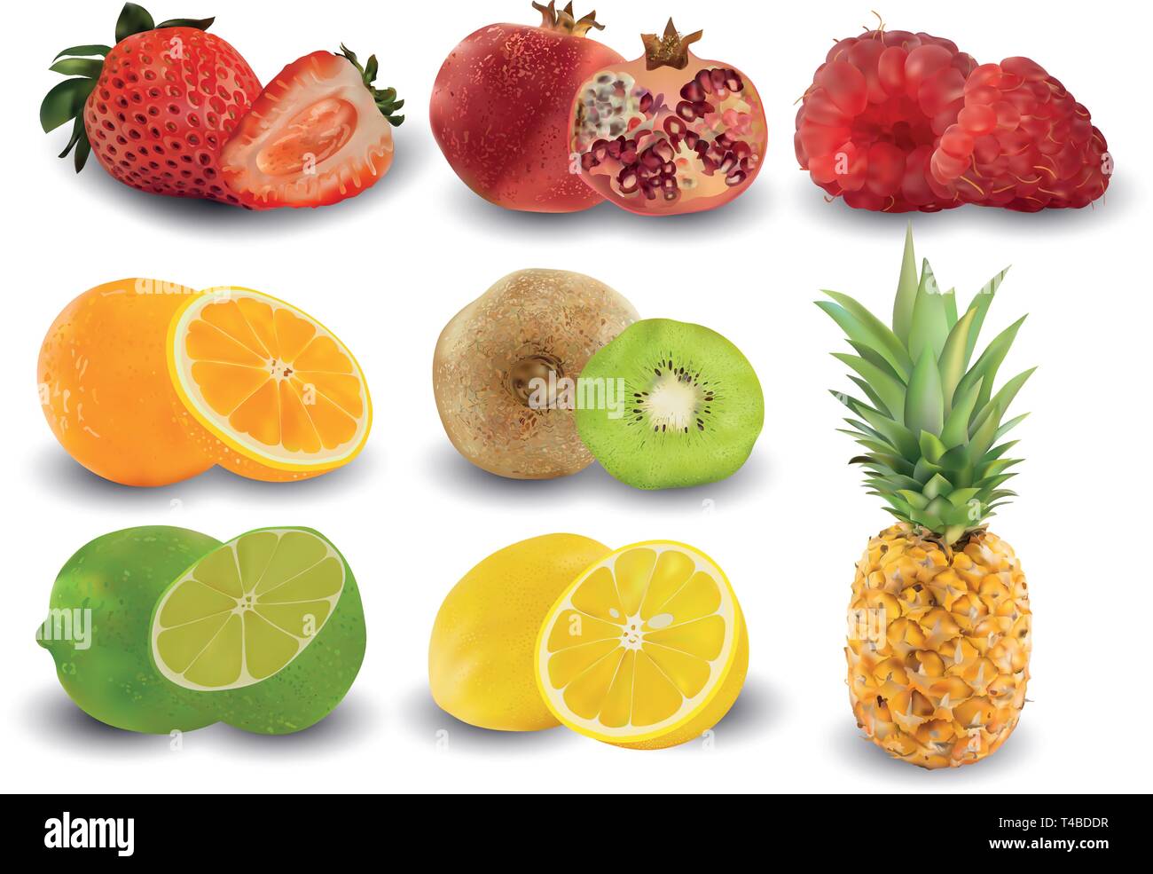 Pineapple pomegranate lemon kiwi Stock Vector Images - Alamy