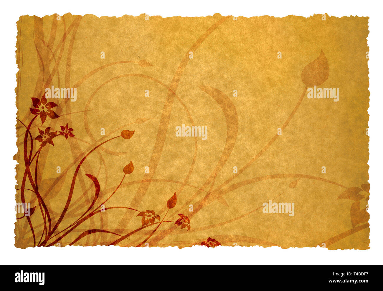 floral design on old parchment background, space for messages Stock ...