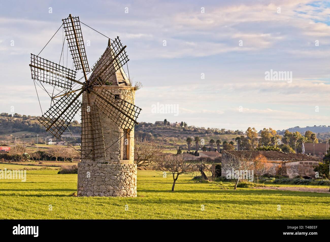 Spanish windmill in a farm's meadow with trees and rolling hills ...