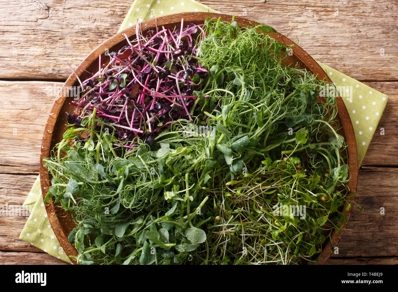 Mix leaf hi-res stock photography and images - Alamy