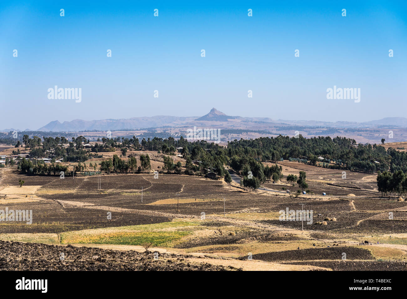 Simian mountains ethiopia hi-res stock photography and images - Alamy