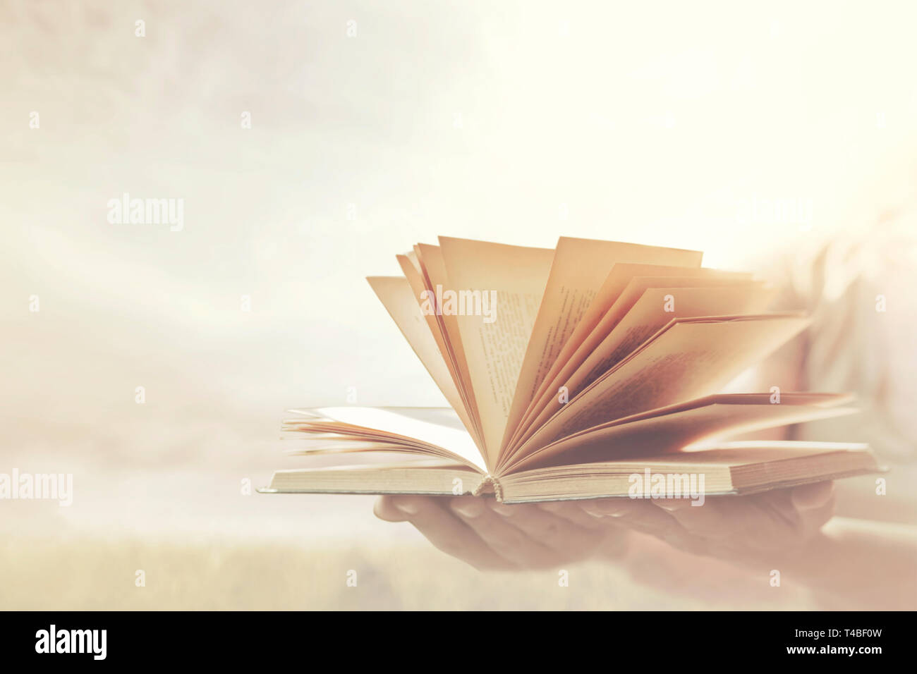 hands offering an open book, knowledge concept Stock Photo - Alamy