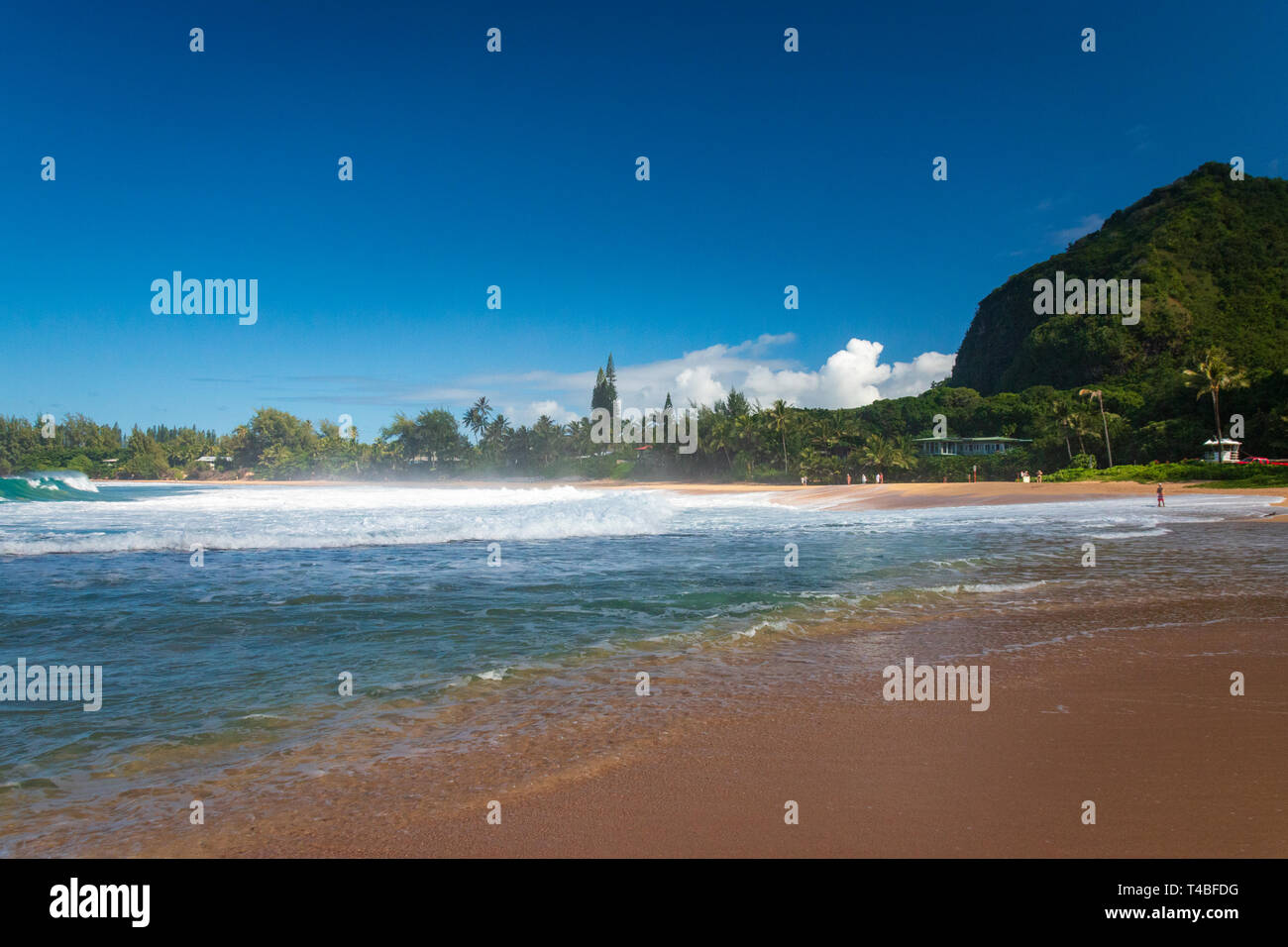 Haena Beach Park on the Hawaiian island of Kauai, USA Stock Photo - Alamy