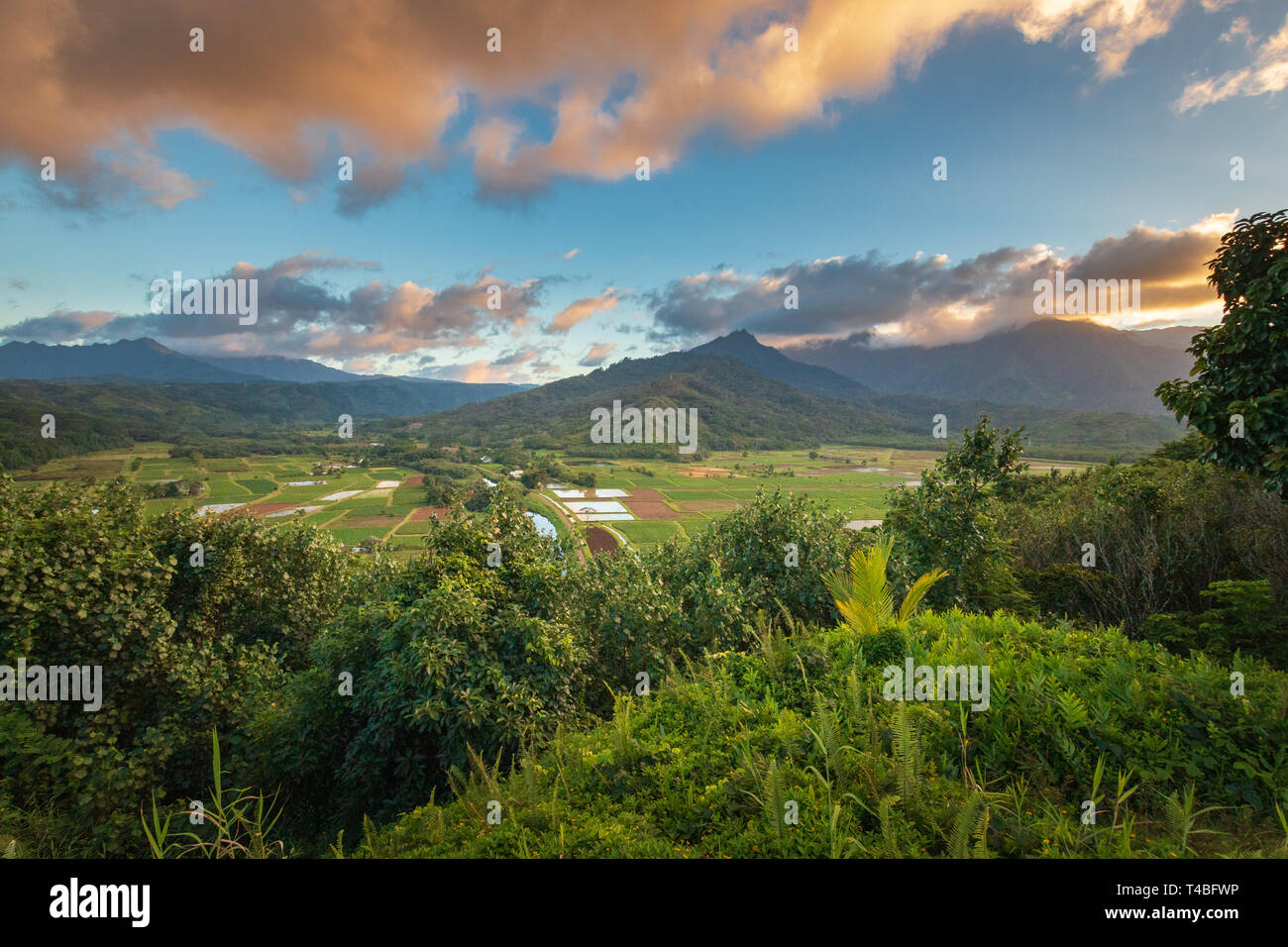 Hanalei valley lookout hi-res stock photography and images - Alamy