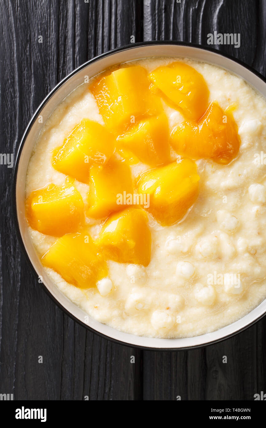 Traditional asian tapioca pudding with coconut milk and fresh mango ...