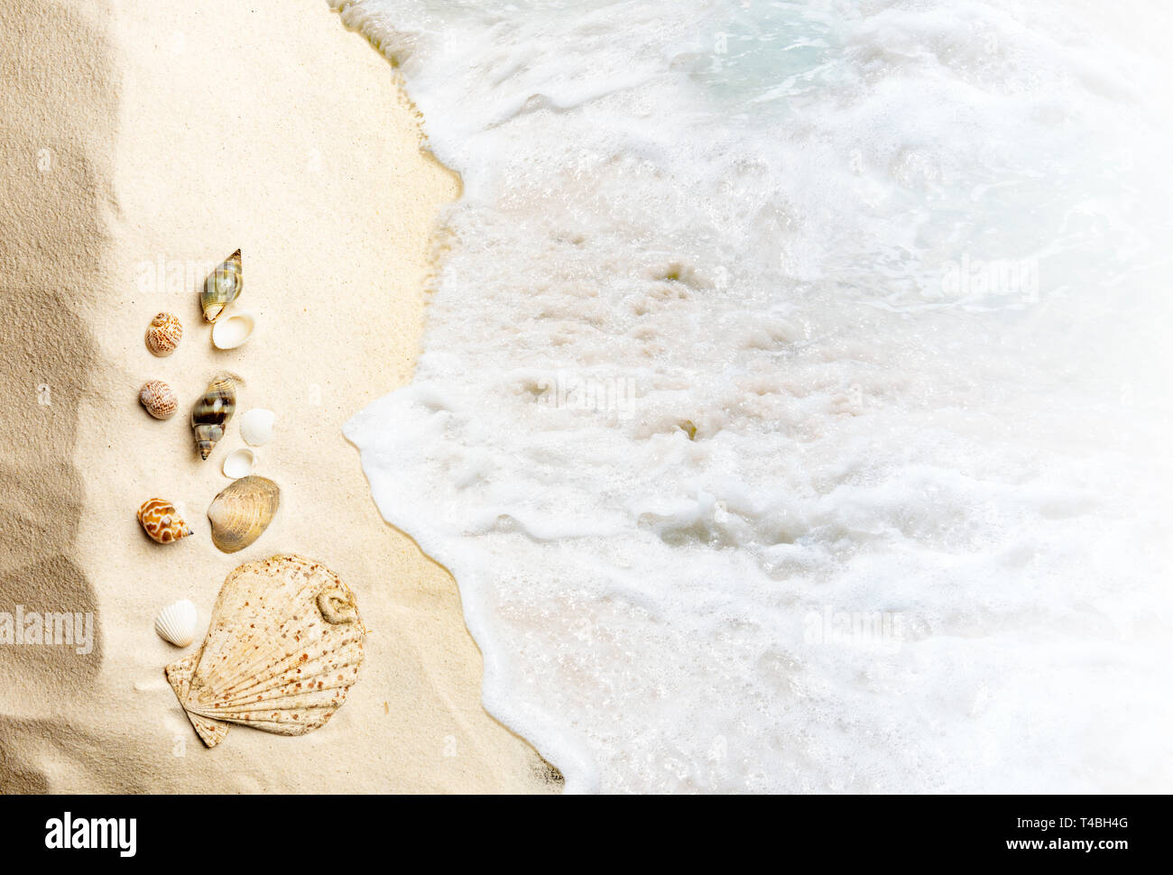 Top view of shells on the sandy beach with wave. Summer background ...