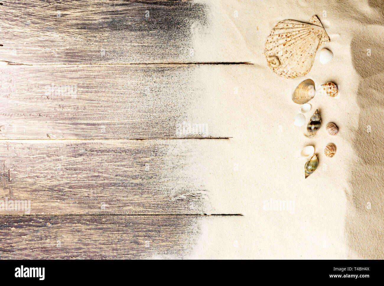 Top view of shells on the sand with wooden floor background Stock Photo ...