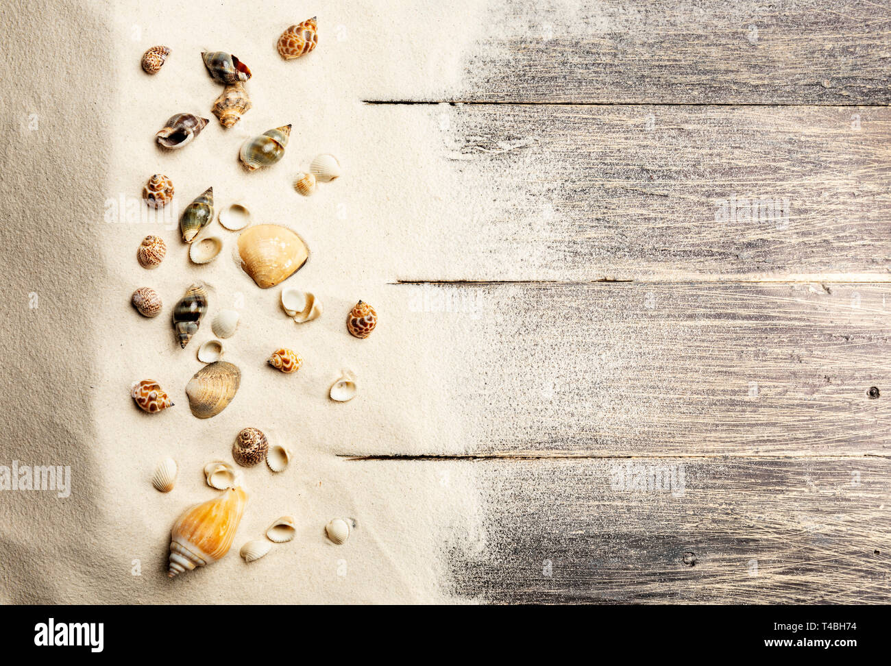 Top view of shells on the sand with wooden floor background Stock Photo ...