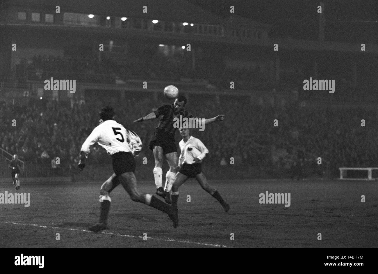 Bockisch hi-res stock photography and images - Alamy