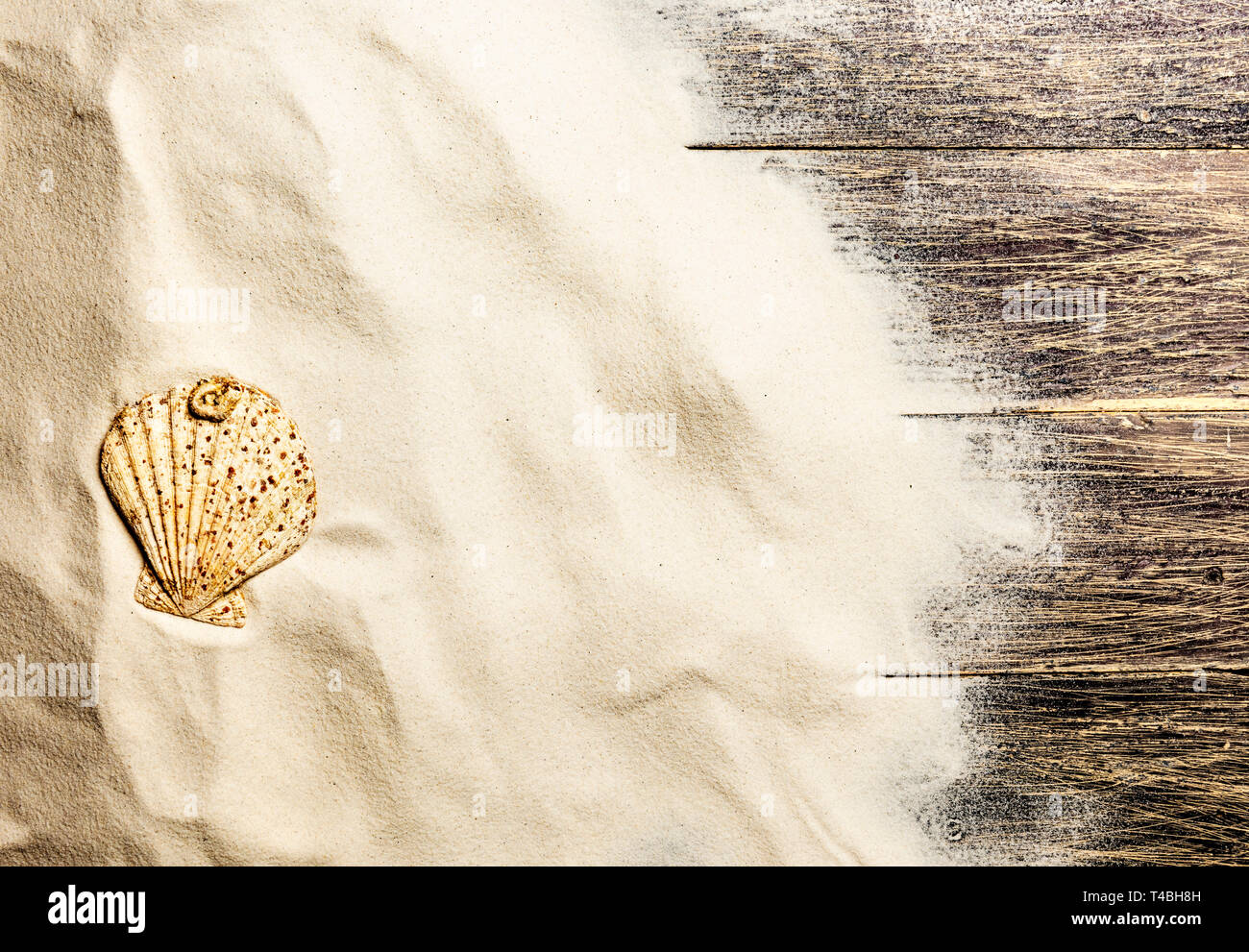 Top view of shells on the sand with wooden floor background Stock Photo ...