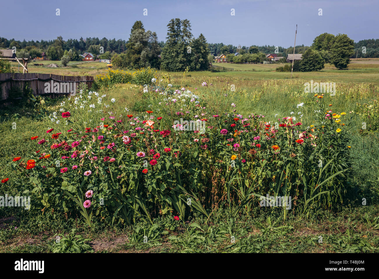 Bunch of flowers in Soce village on so called The Land of Open Shutters ...