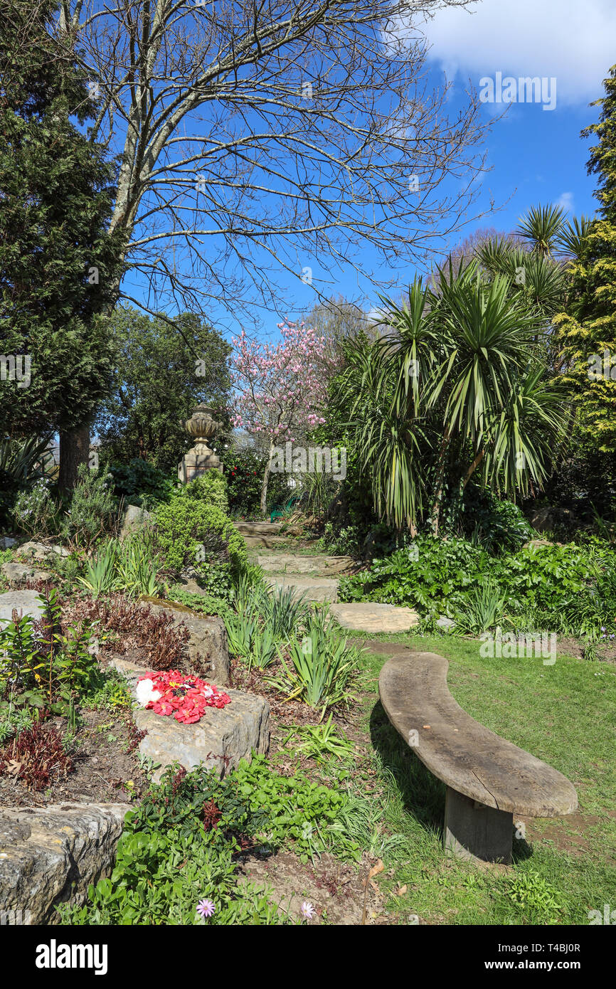 Devon palms hi-res stock photography and images - Alamy
