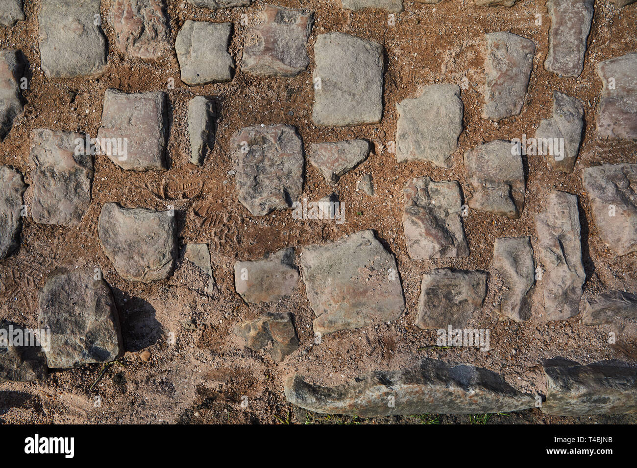 The Arenberg trench, Paris Roubaix Stock Photo - Alamy