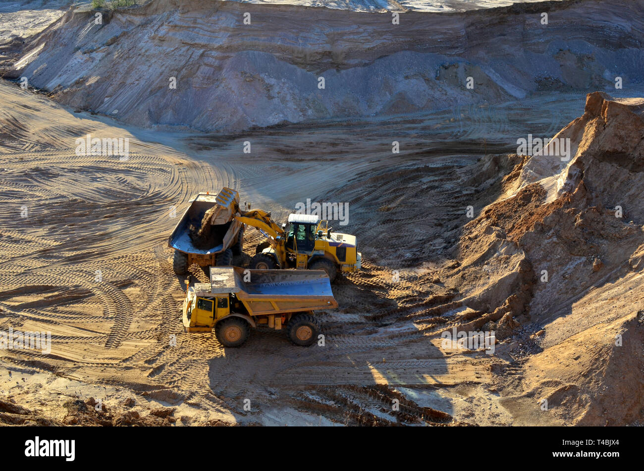 Wheel front-end loader unloading sand into heavy dump truck at the ...