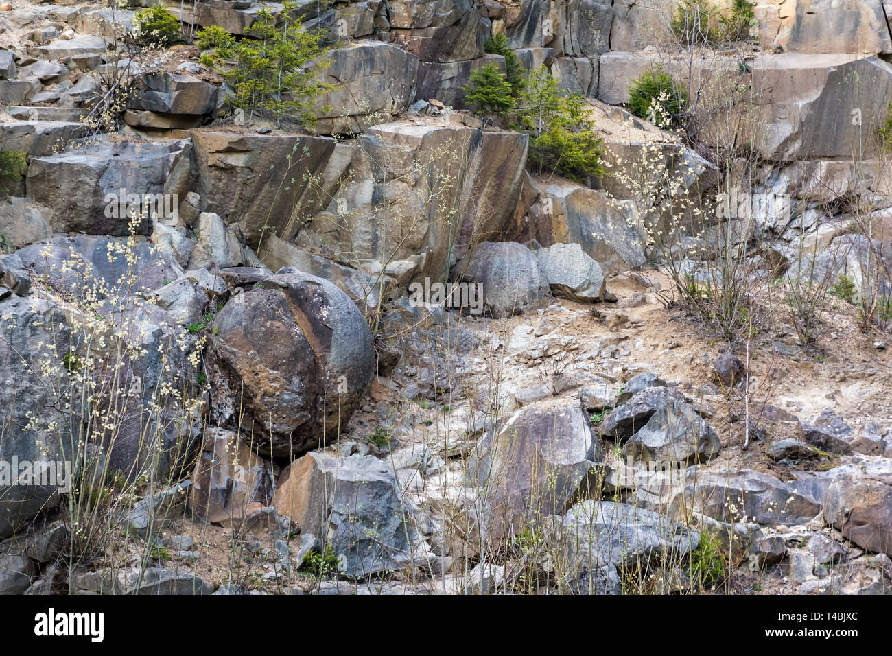 Natural spherical boulders in Megonky - Cadca (SLOVAKIA Stock Photo - Alamy