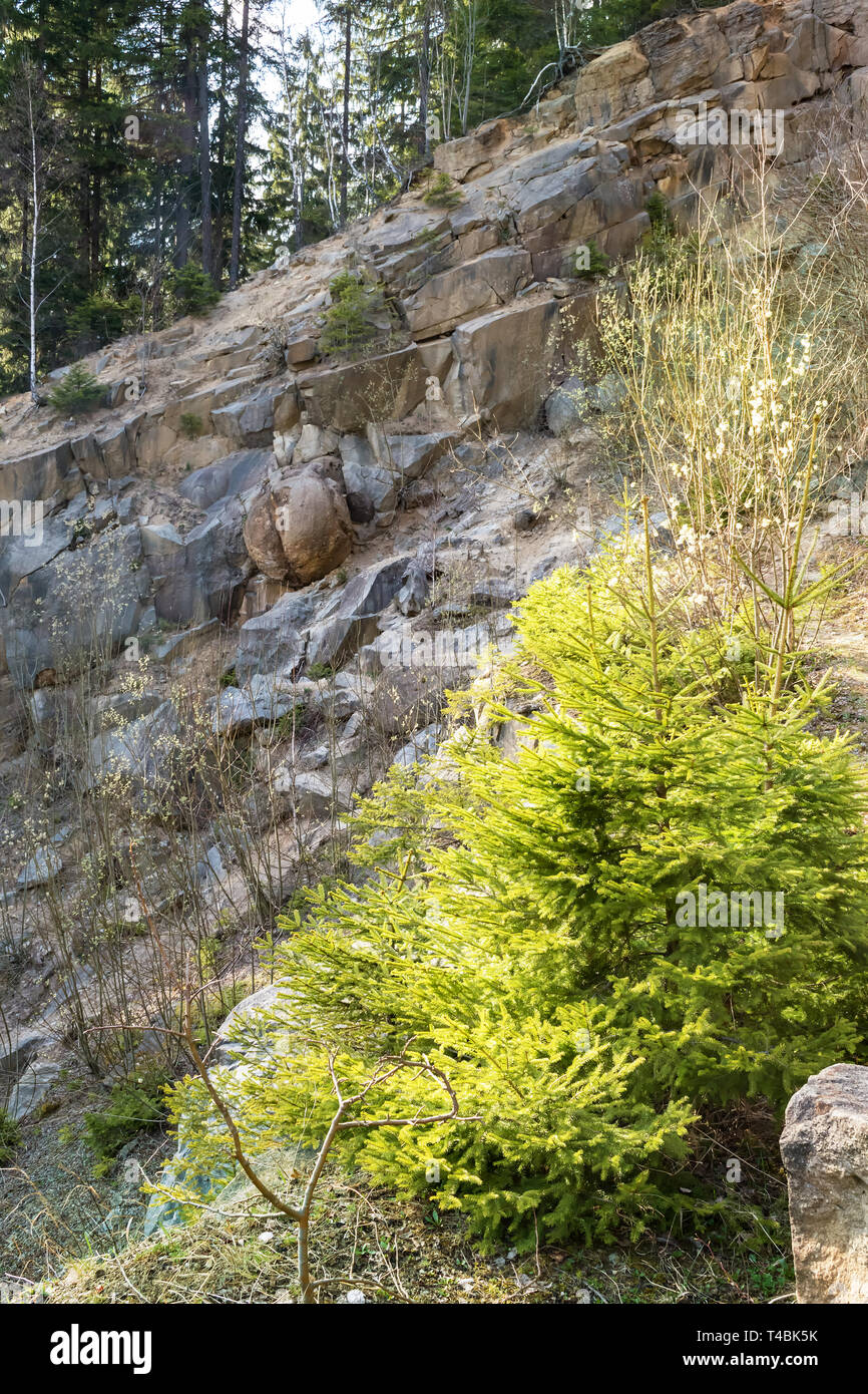 Natural spherical boulders in Megonky - Cadca (SLOVAKIA Stock Photo - Alamy