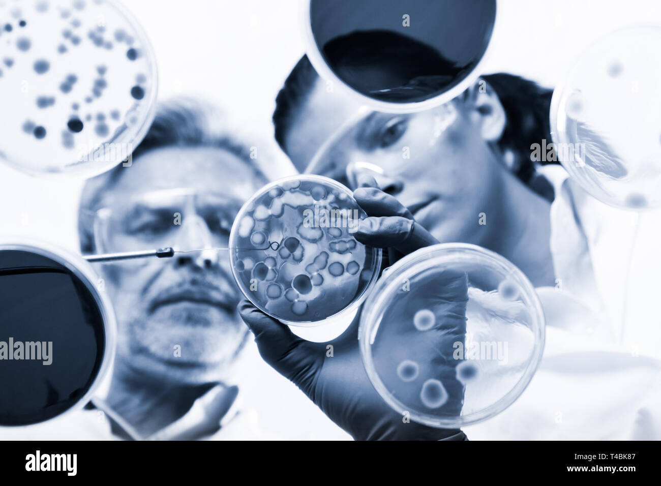 Scientists laboratory genetics hi-res stock photography and images - Alamy