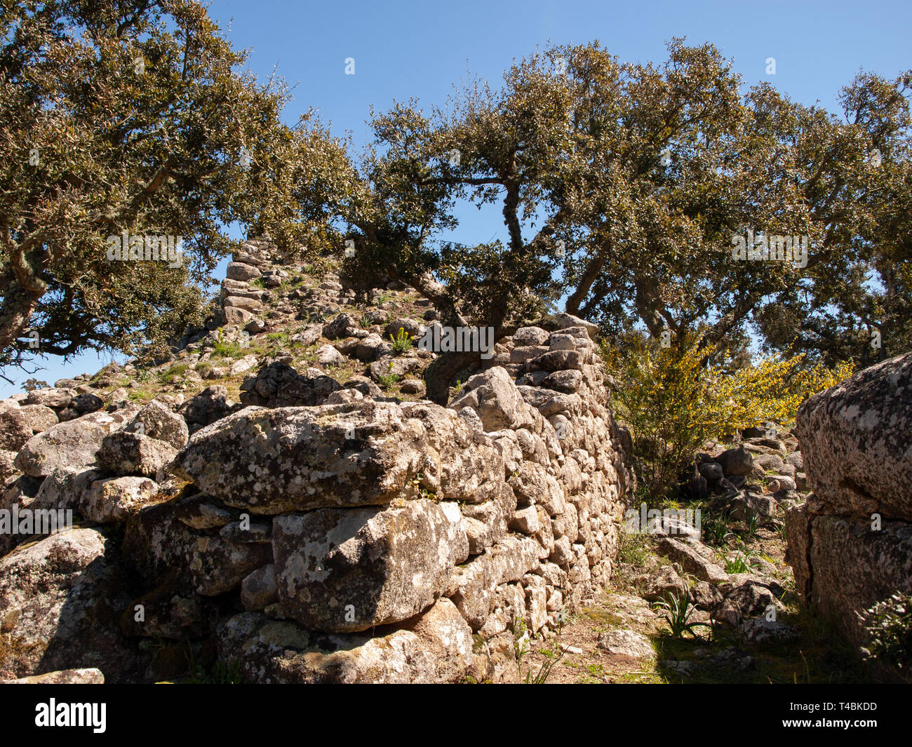 archaeological site of Noddule in the megalithic circle and large ...