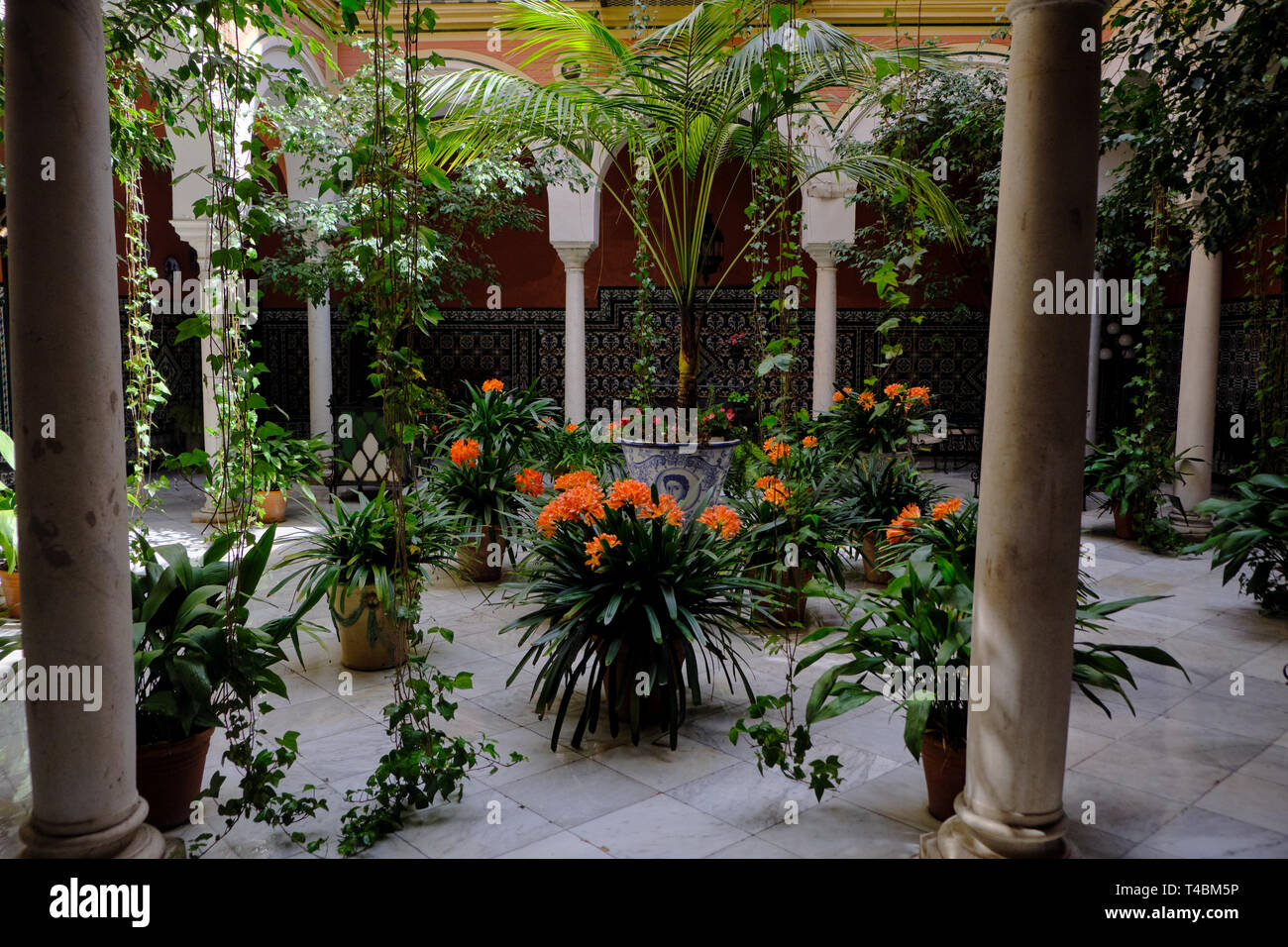 April 2019 - Seville neighborhood courtyard with columns, garden plants ...