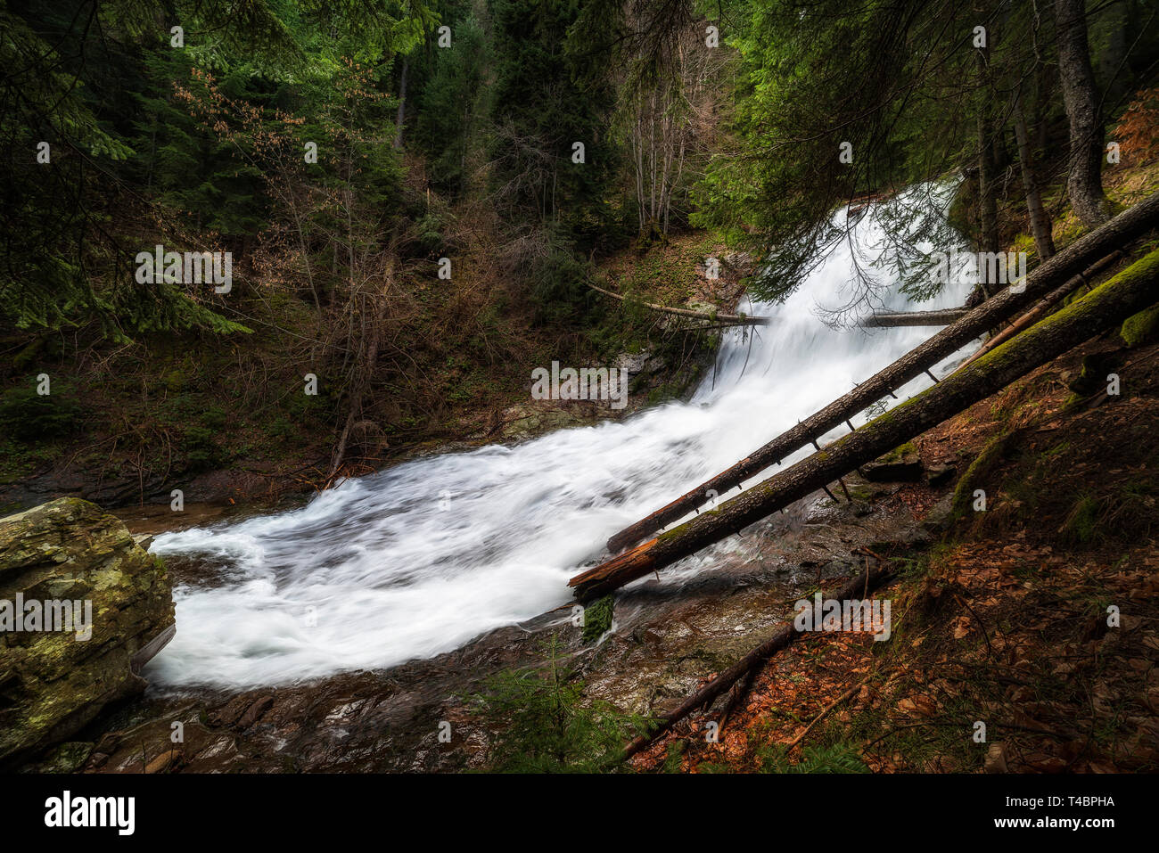 landscape with mountains, forest and a river in front. beautiful spring ...
