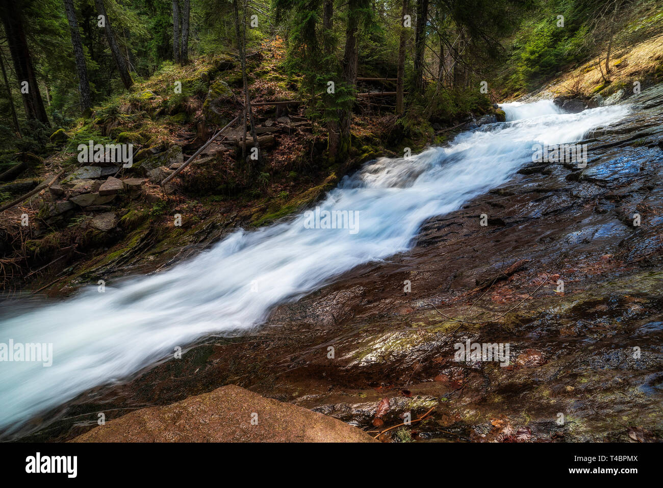 Spring in mountain, forest and a river in front. beautiful scenery ...