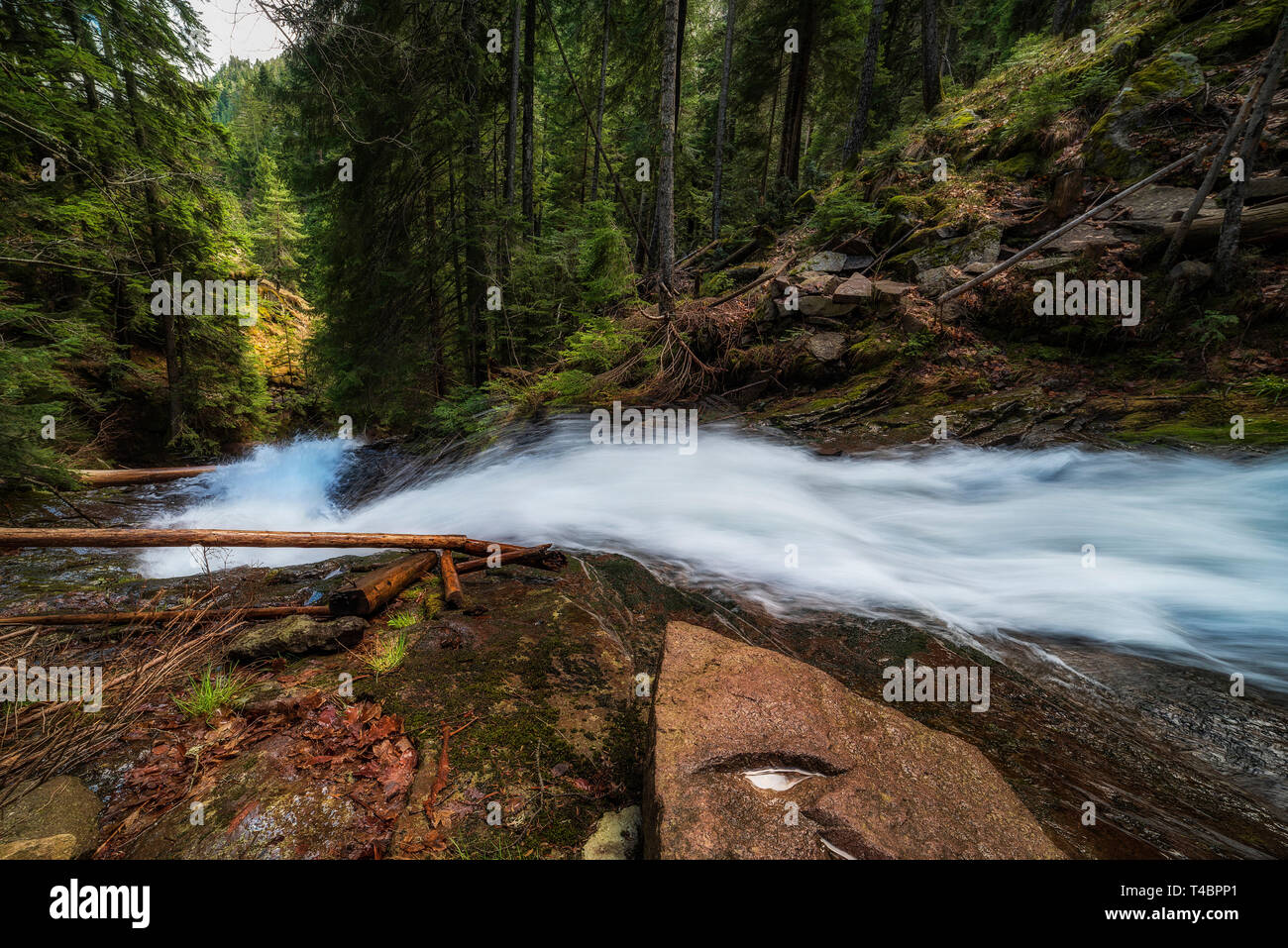 Spring in mountain, forest and a river in front. beautiful scenery ...