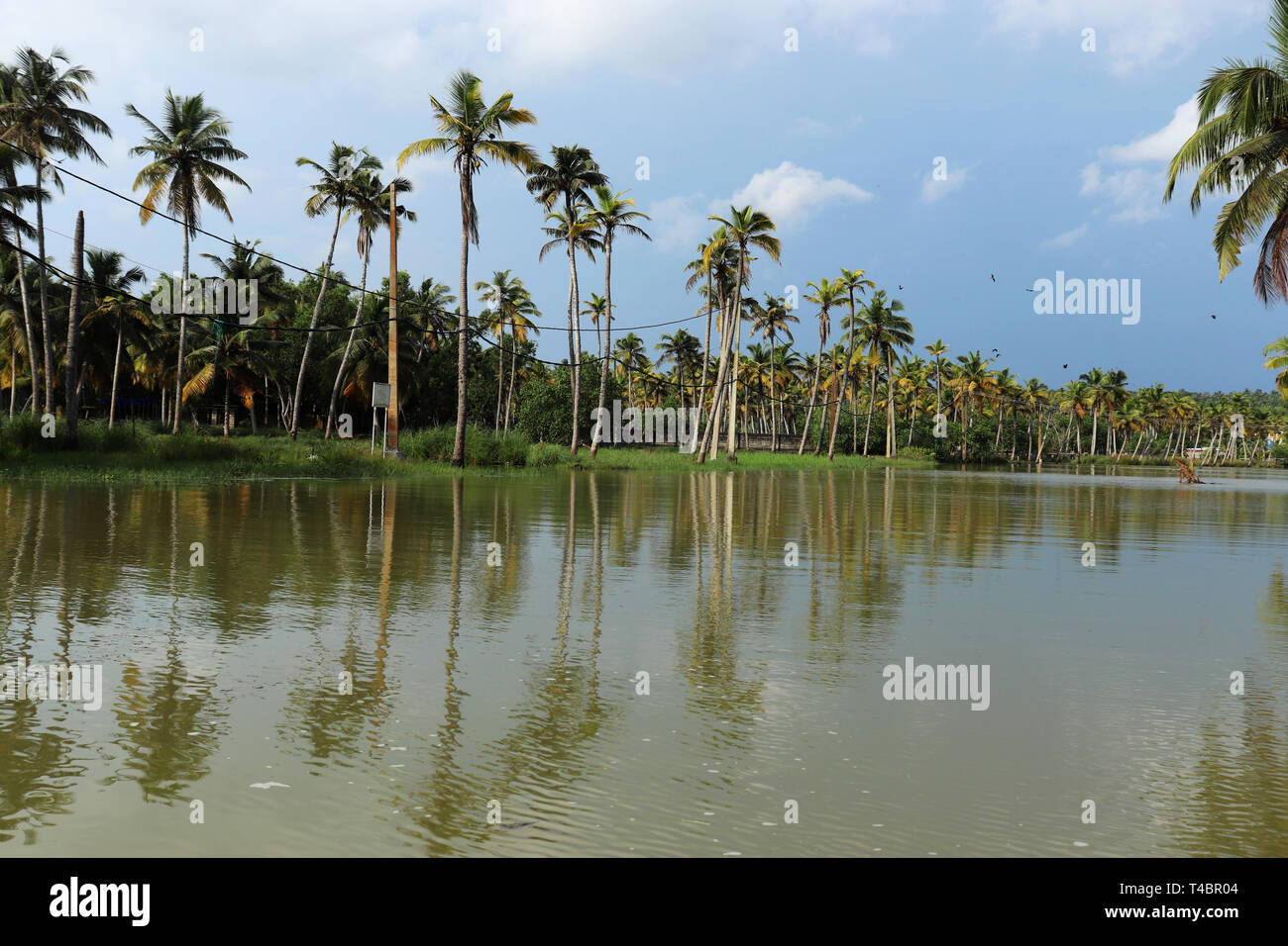 Goa tour hi-res stock photography and images - Alamy