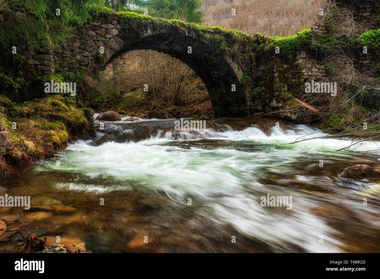 Old stone bridge over mountain river Stock Photo - Alamy