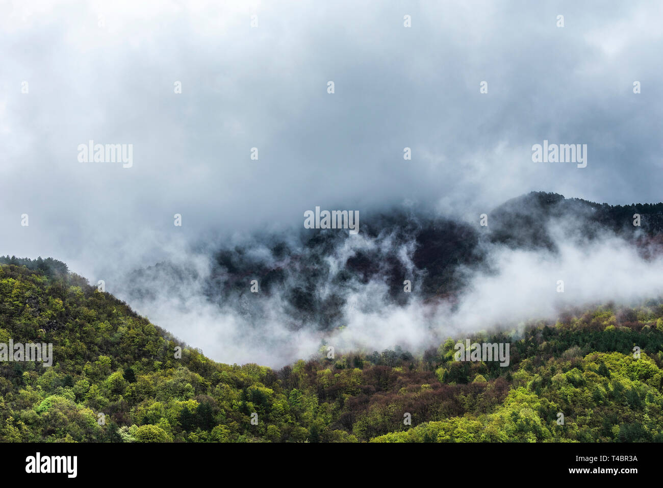 Spring in misty mountain Stock Photo - Alamy
