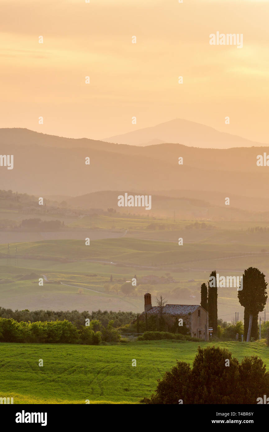 Farmland in the evening with mist and light hi-res stock photography ...