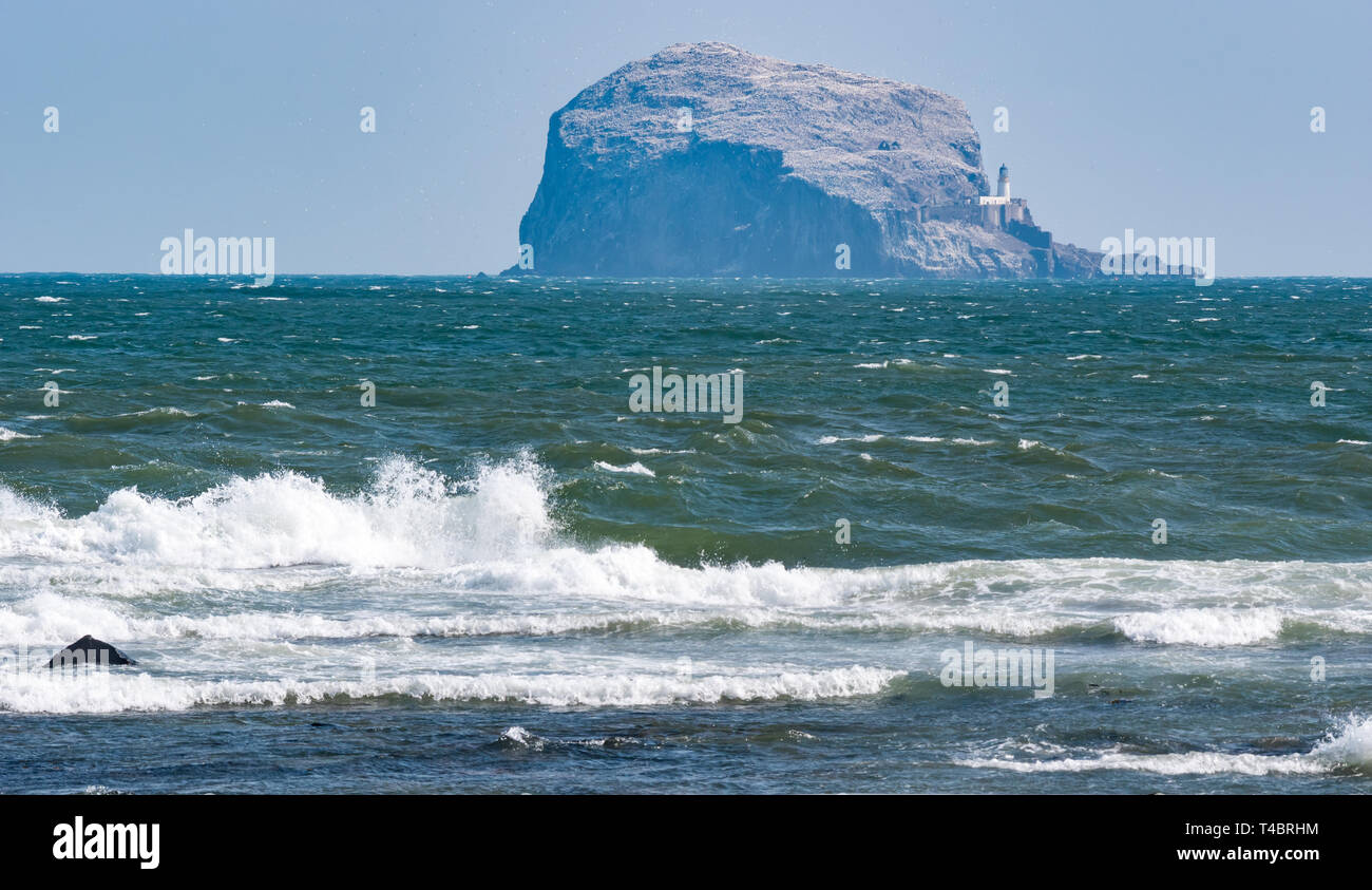 Bass Rock lighthouse gannet colony with waves breaking on shore, Firth ...